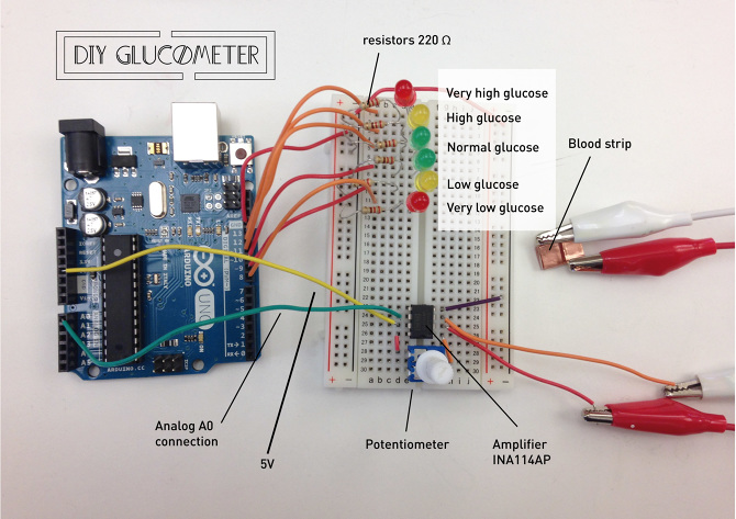 DIY Glucometer - Olivia Hildebrand